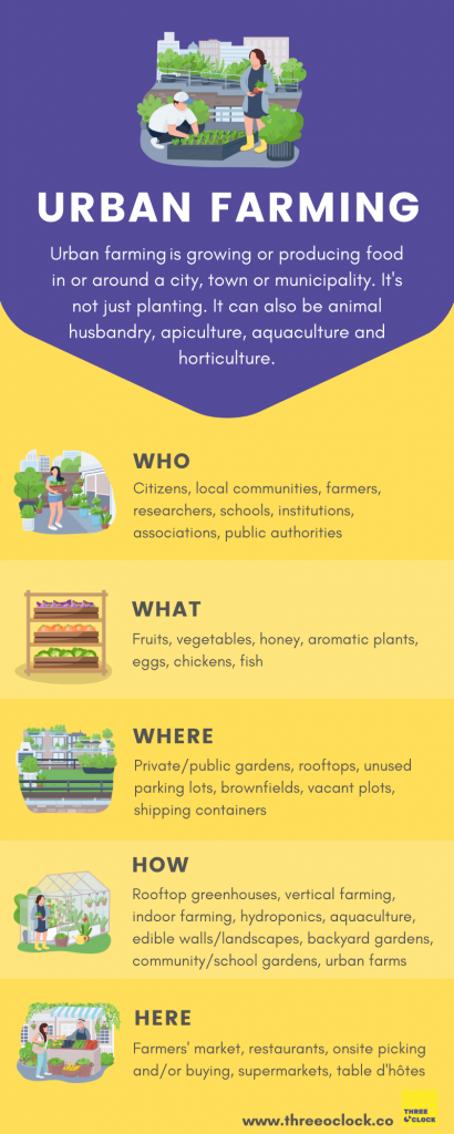 What is urban farming? *New Top 5 reasons – Three o'clock