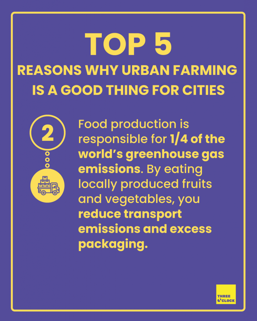 What is urban farming? *New Top 5 reasons – Three o'clock