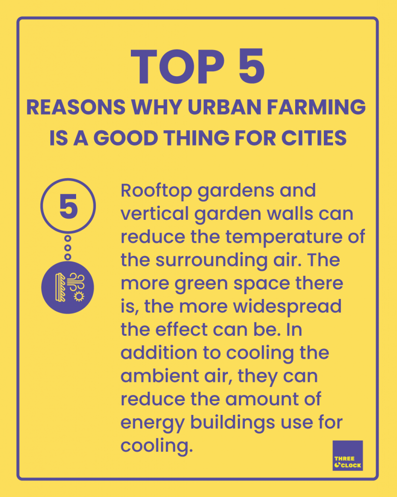 What is urban farming? *New Top 5 reasons – Three o'clock